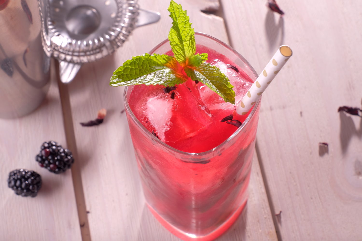 Blackberry Hibiscus Mojito | Meatless Makeovers